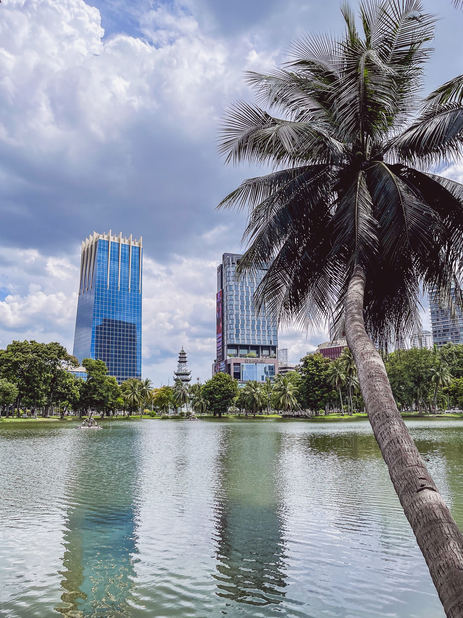 Lumphini Park Bangkok: Monitor Lizards And Nature In The Middle Of The City