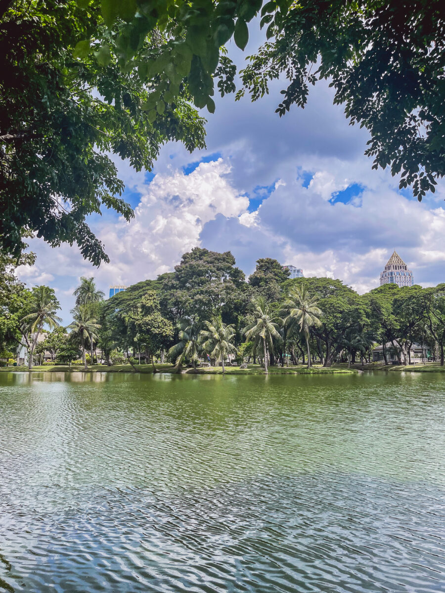 Lumphini Park Bangkok: Monitor Lizards And Nature In The Middle Of The City