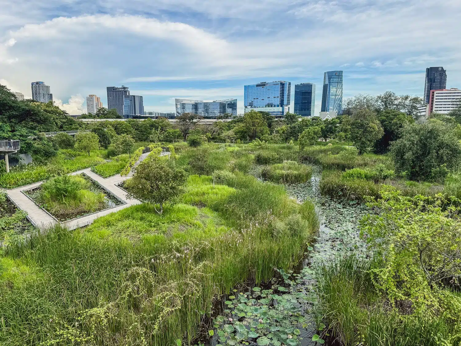 Parks In Bangkok: The 6 Most Beautiful Green Oasis In The Heart Of The City